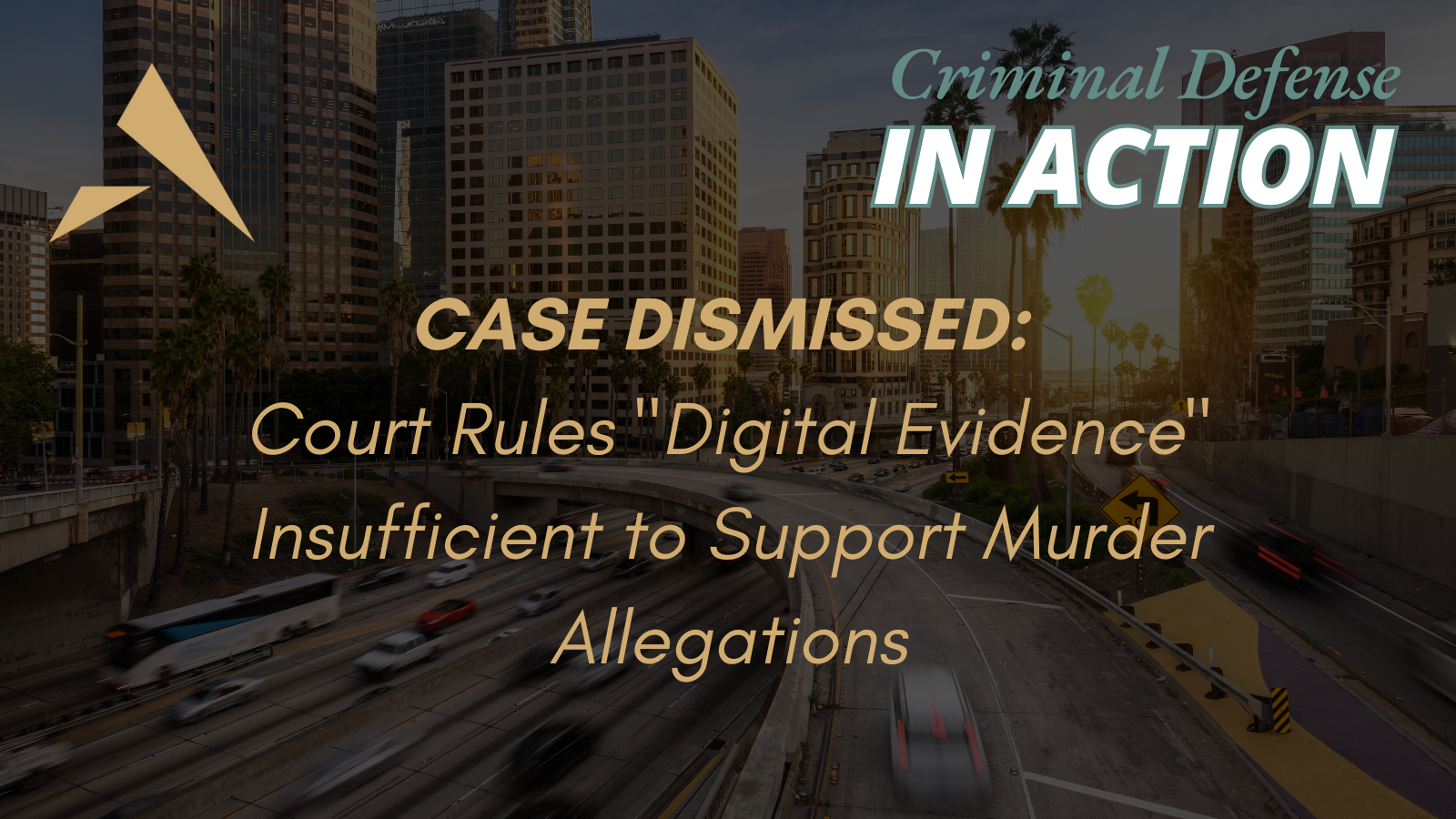 CASE DISMISSED: Court Rules "Digital Evidence" Insufficient to Support ...
